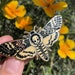 Death's-head Hawkmoth Hard Enamel Pin Hawk Moth Gold - Etsy
