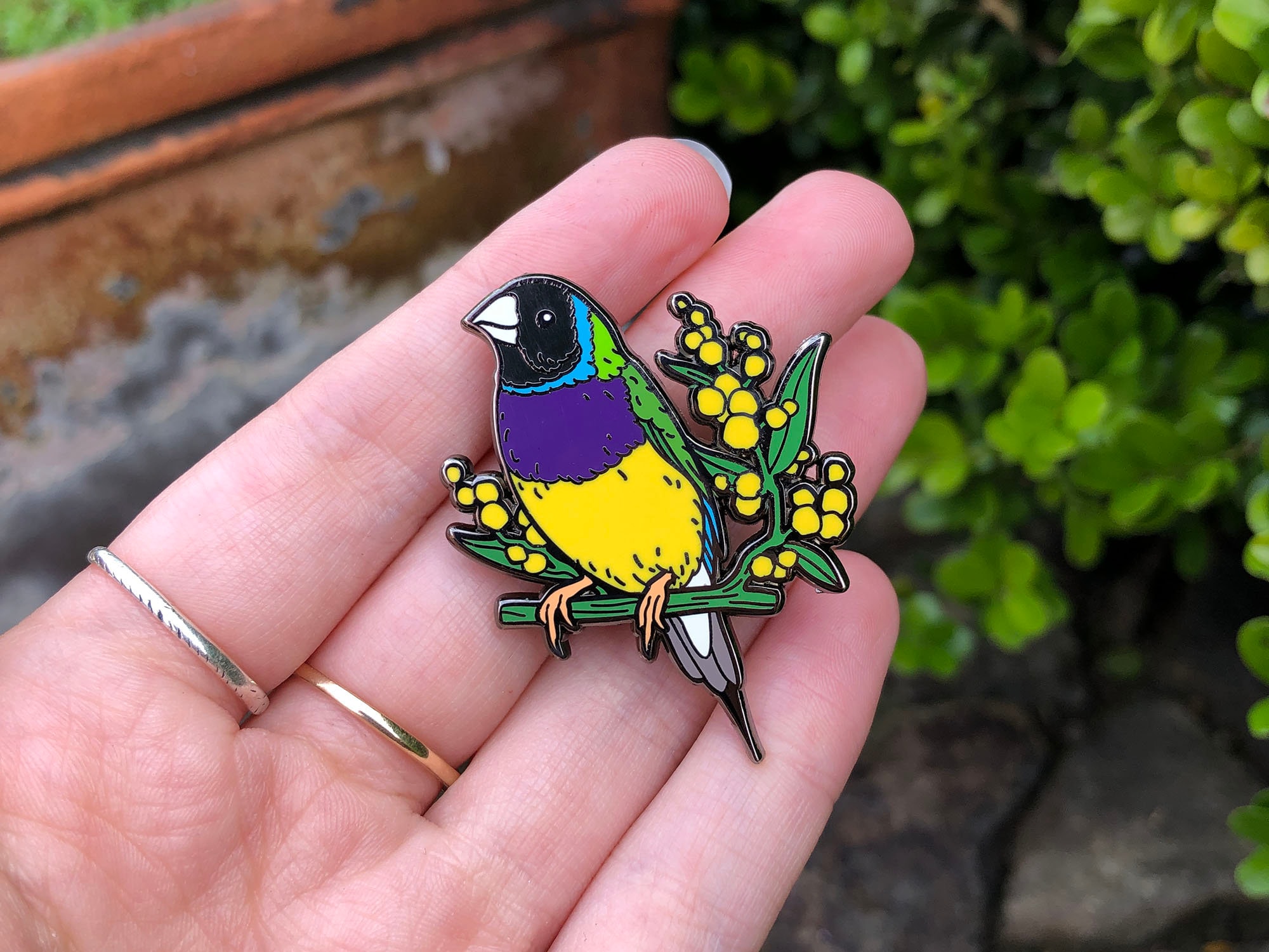 Gouldian Finch Hard Enamel Pin Lapel Pin Bird Pin Finch - Etsy