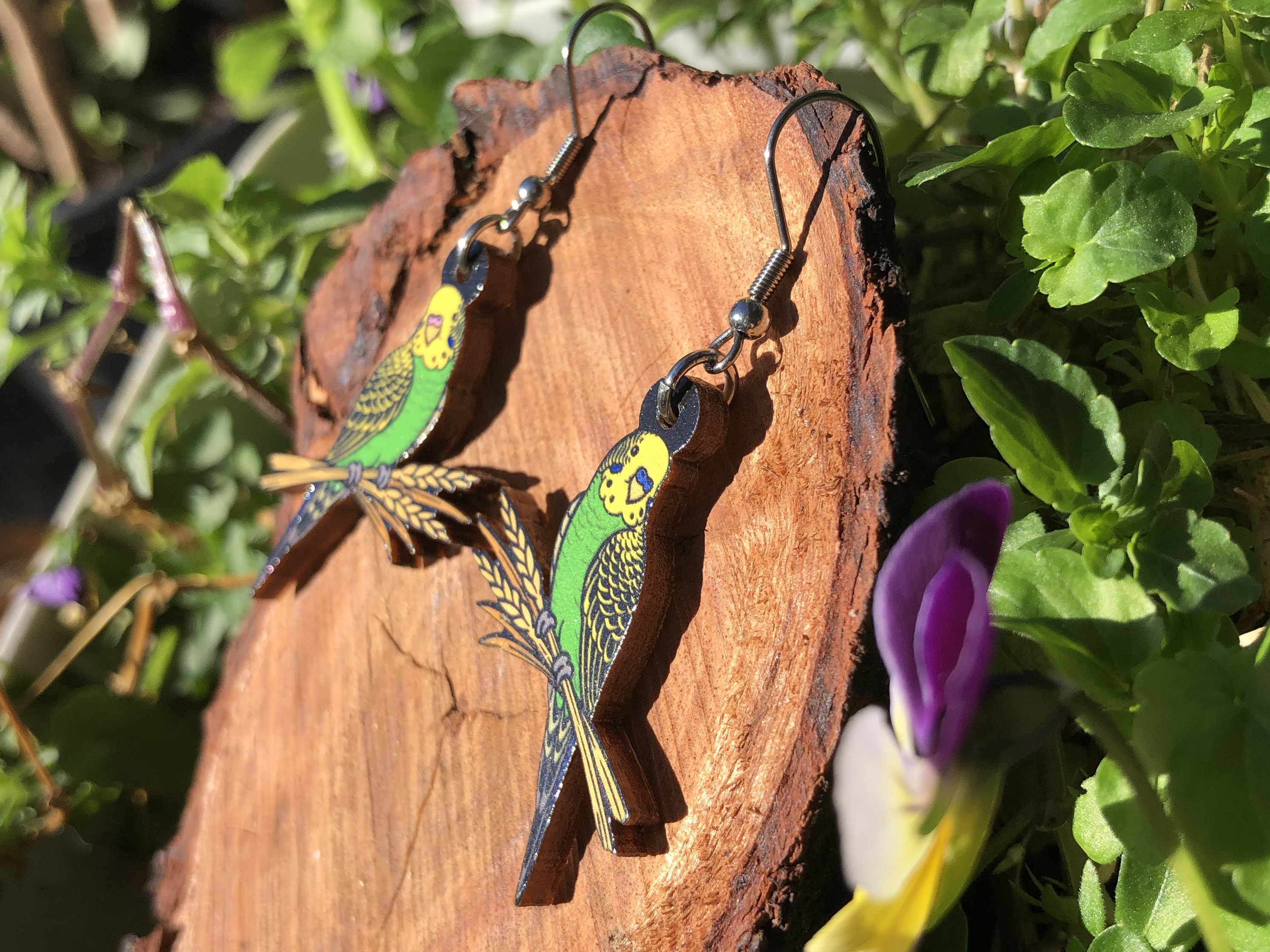 Wild Budgie Wooden Earrings Budgerigar Parakeet Earrings | Etsy