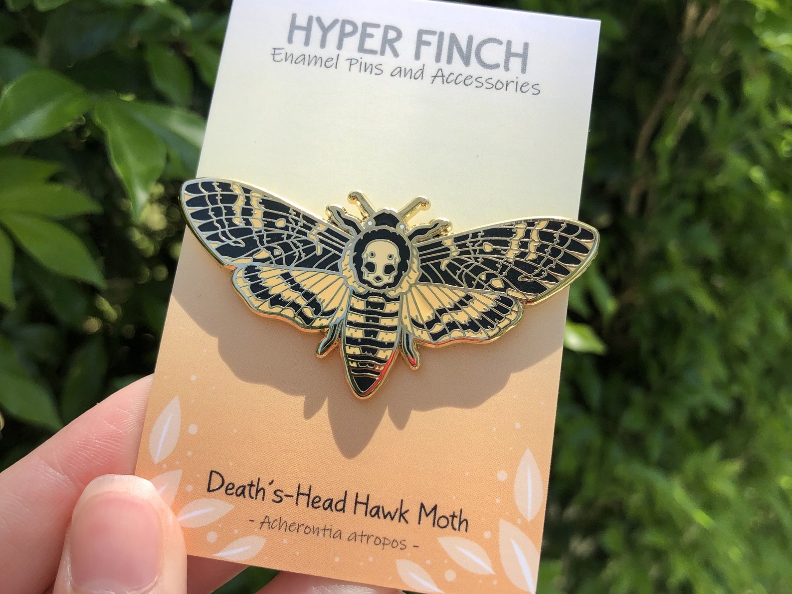 Death's-head Hawkmoth Hard Enamel Pin Hawk Moth Gold - Etsy