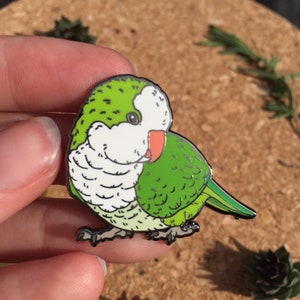 Lefty the Quaker Parrot Hard Enamel Pin | Lapel Pin | Bird Pin | Monk ...