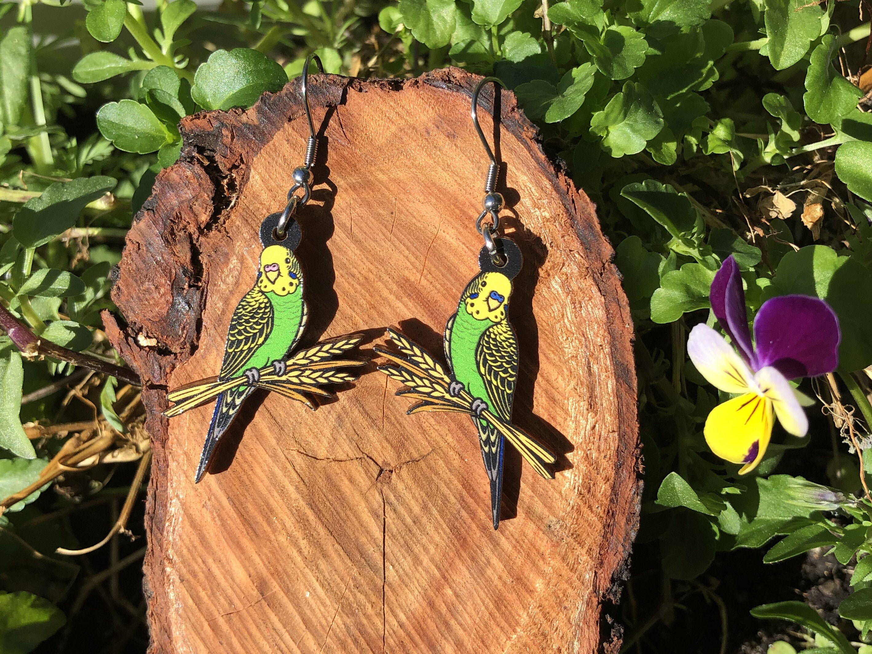 Wild Budgie Wooden Earrings Budgerigar Parakeet Earrings | Etsy