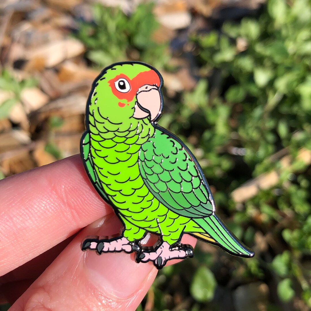 Mitred Conure Enamel Pin - Feathered Friends Enamel Pin | Lapel Pin ...