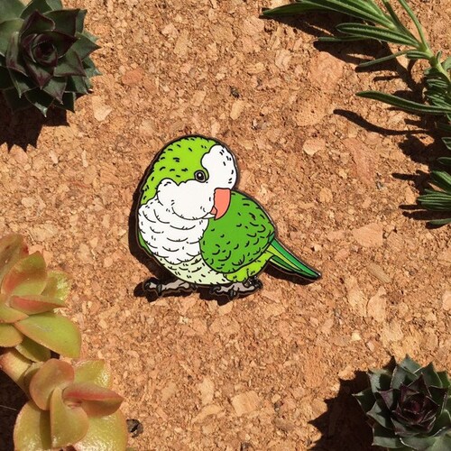 Lefty the Quaker Parrot Hard Enamel Pin Lapel Pin Bird Pin - Etsy
