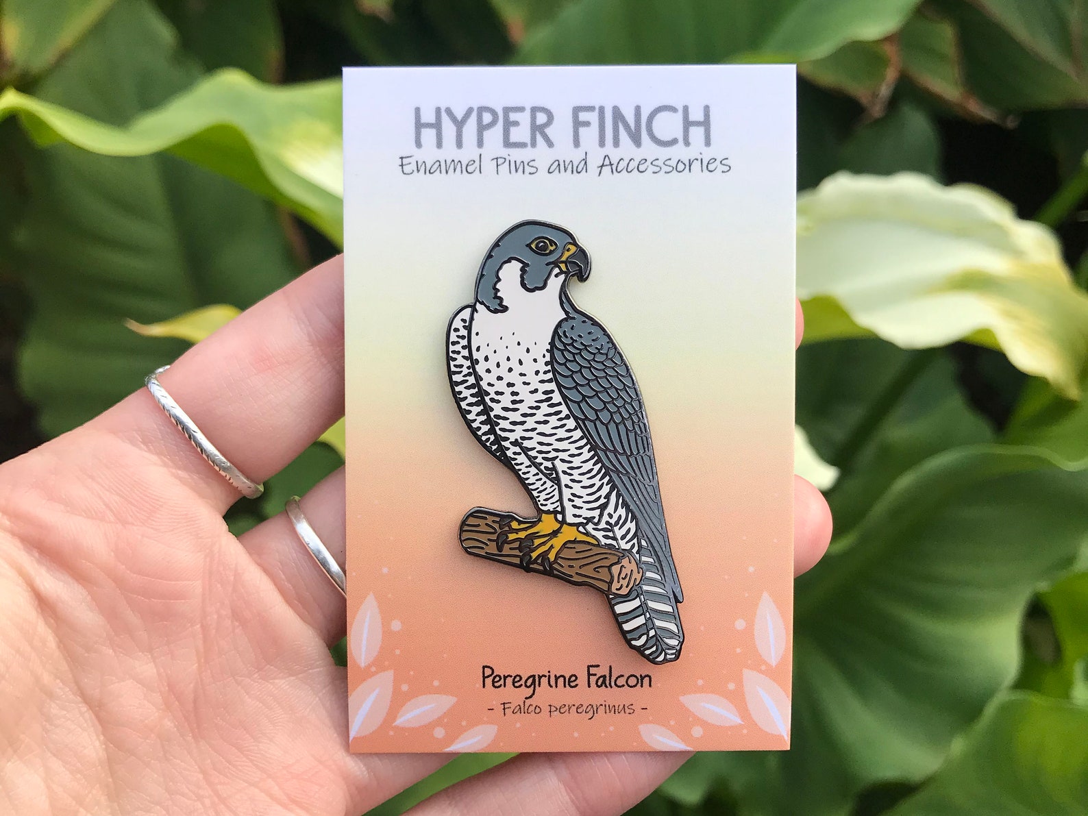 Peregrine Falcon Hard Enamel Pin | Lapel Pin | Bird Pin | Falcon Pin ...