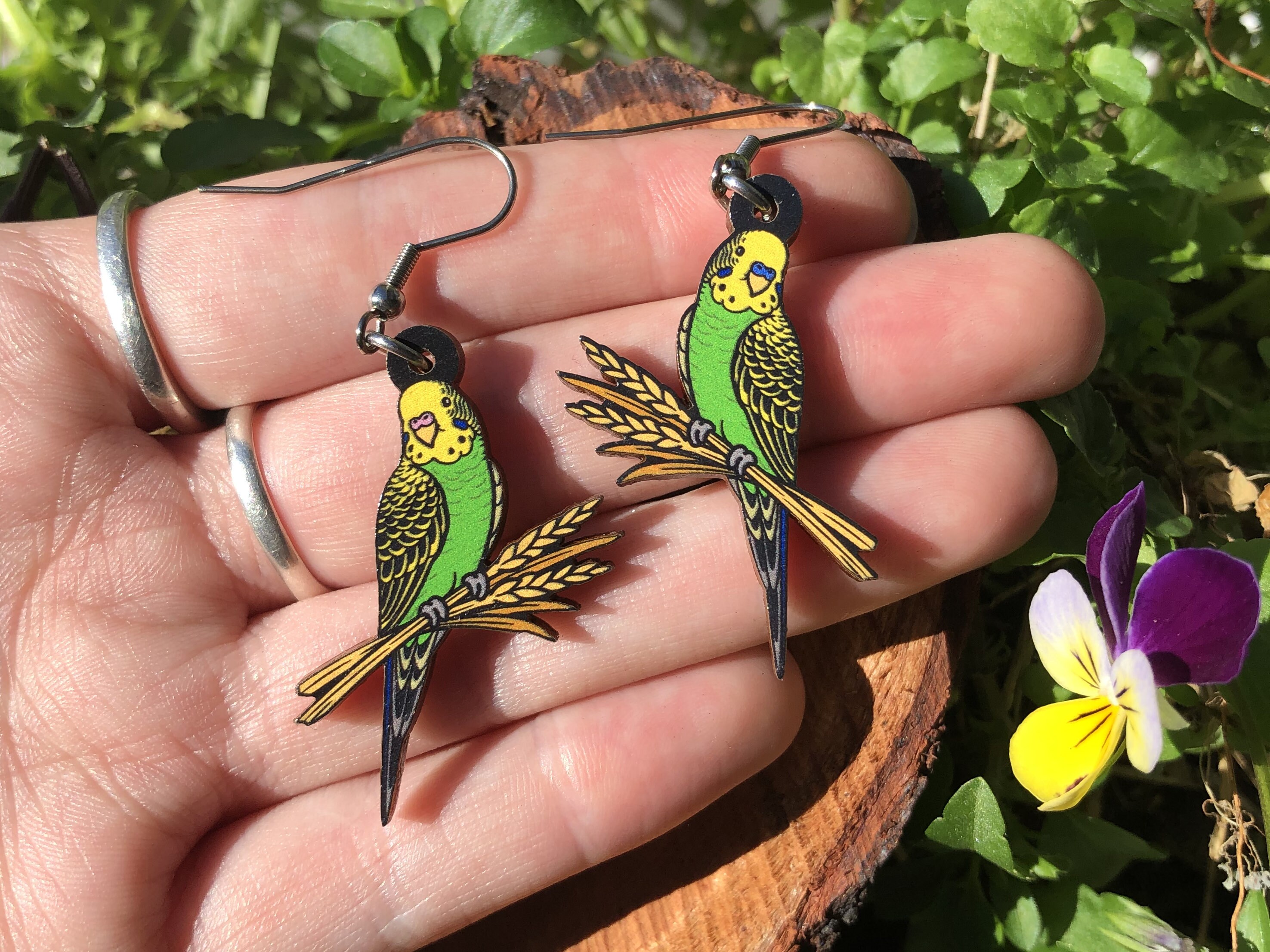 Wild Budgie Wooden Earrings Budgerigar Parakeet Earrings | Etsy