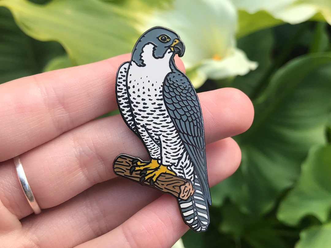 Peregrine Falcon Hard Enamel Pin | Lapel Pin | Bird Pin | Falcon Pin ...