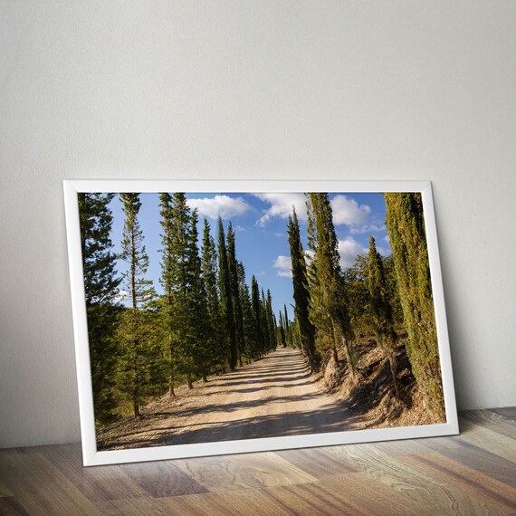 Tuscan Cypresses Poster Tuscany Print Italy Trees Nature - Etsy