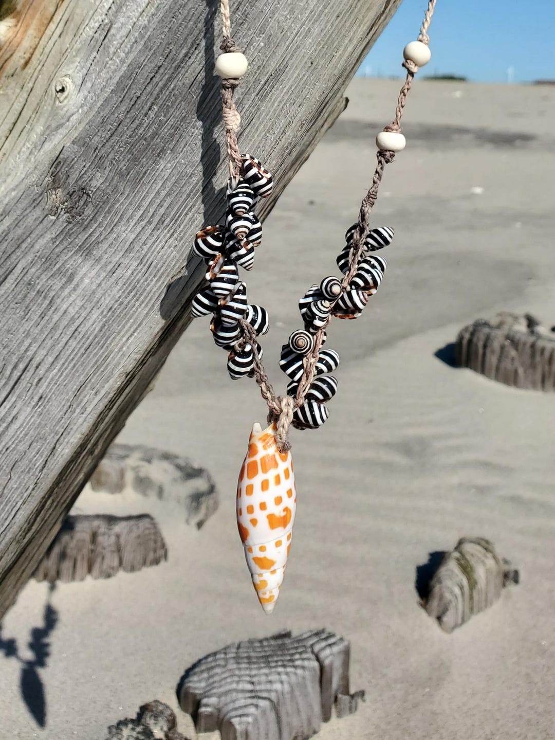 Zebra Shell Clusters With an Orange and White Shell Pendant - Etsy
