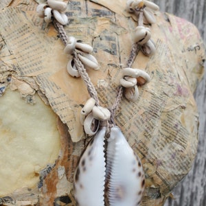 Large Tiger Cowrie Shell Pendant Necklaces, 2 Lengths - Etsy