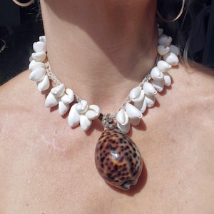 Tiger Cowrie Shell Pendant Choker With White Shell Clusters on Hemp - Etsy