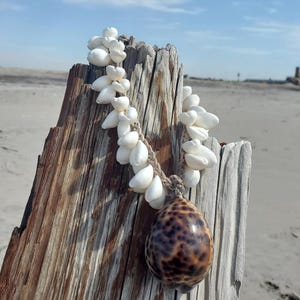 Tiger Cowrie Shell Pendant Choker With White Shell Clusters on Hemp - Etsy