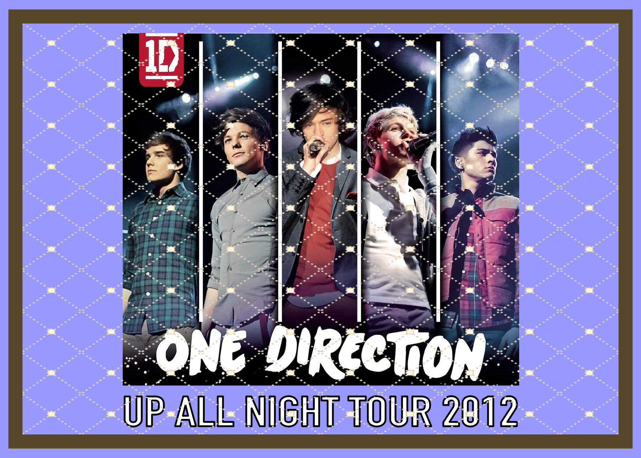 One Direction Up All Night Tour