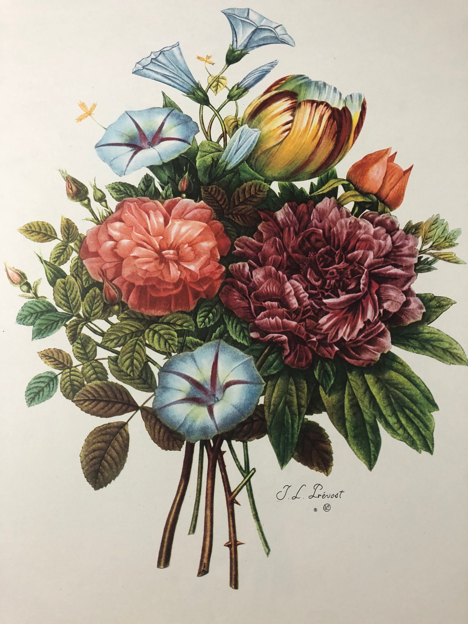 Jean Louis Prevost, 1945 BOUQUETS (4) Folio, Rare Vintage French ...