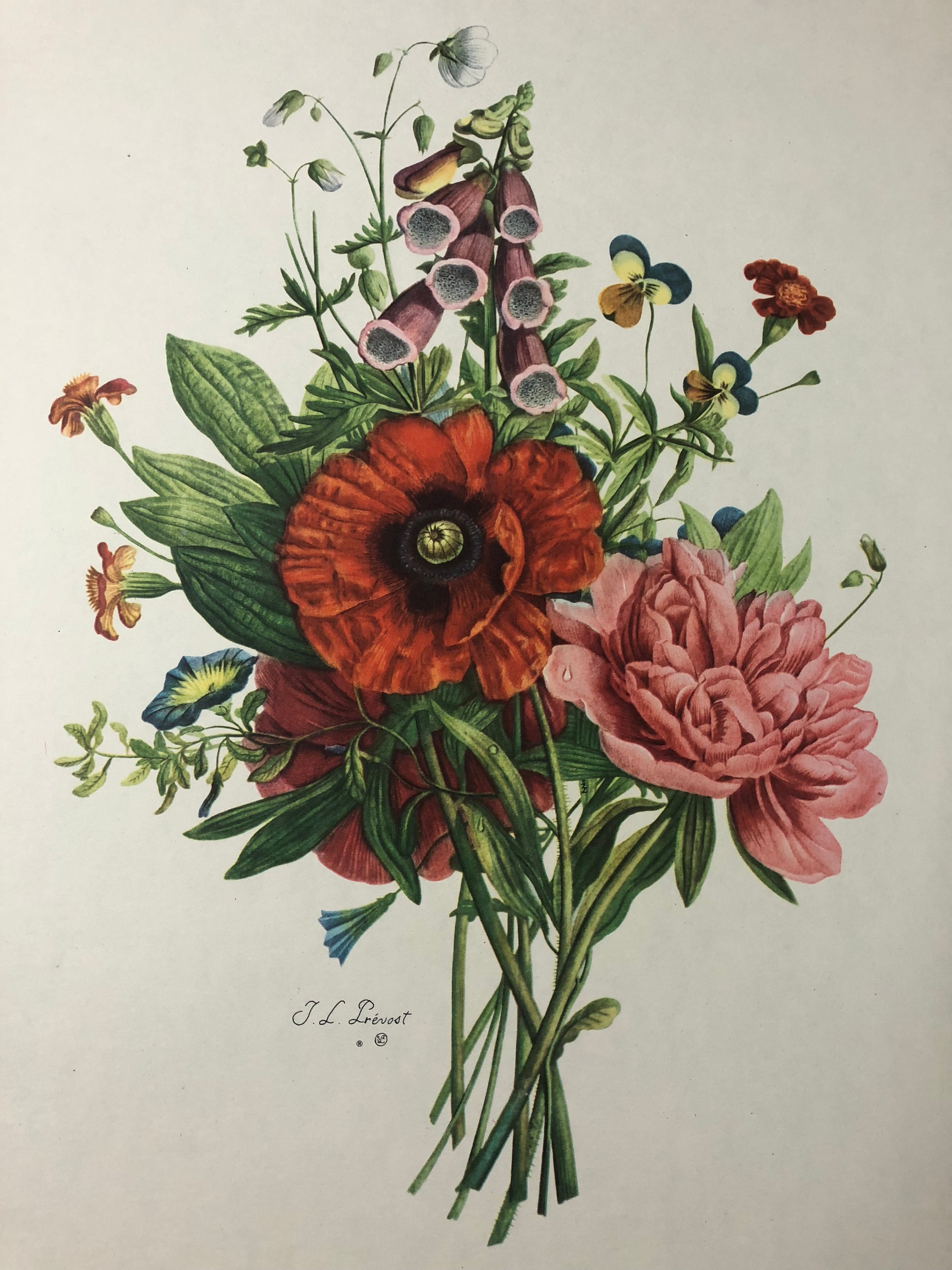 Jean Louis Prevost, 1945 BOUQUETS (4) Folio, Rare Vintage French ...
