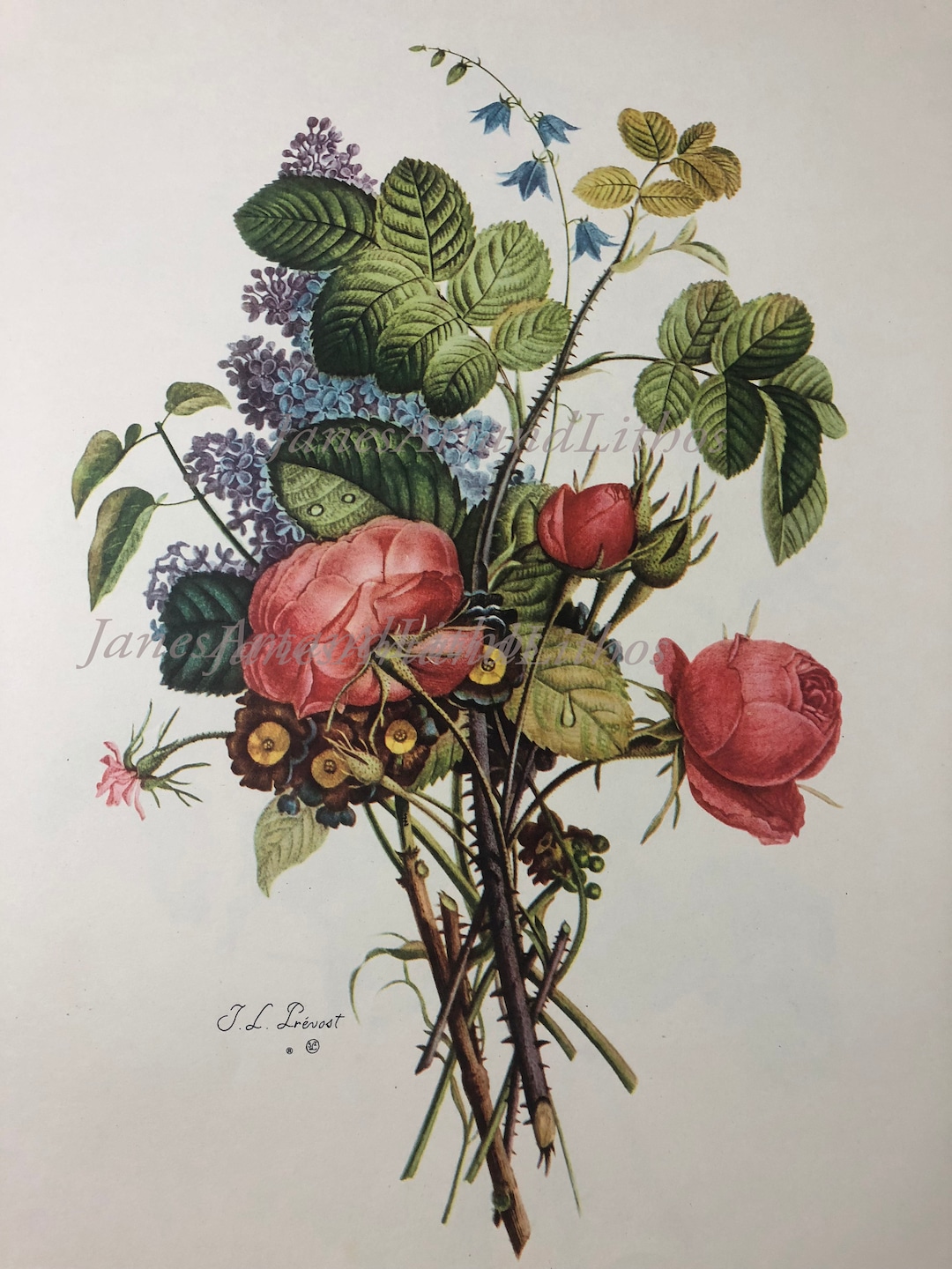 Jean Louis Prevost, 1945 BOUQUETS (4) Folio, Rare Vintage French ...