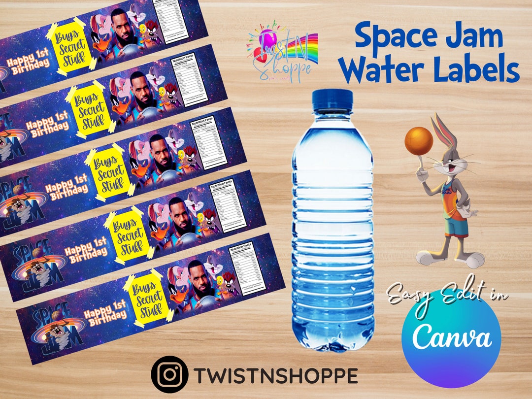 Space Jam Chip Bags Space Jam Party Favors Space Jam Water Labels Space ...