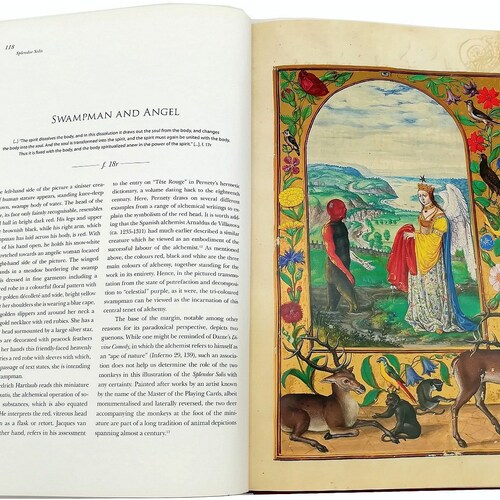 SPLENDOR SOLIS the Most Beautiful Illuminated Manuscript on | Etsy