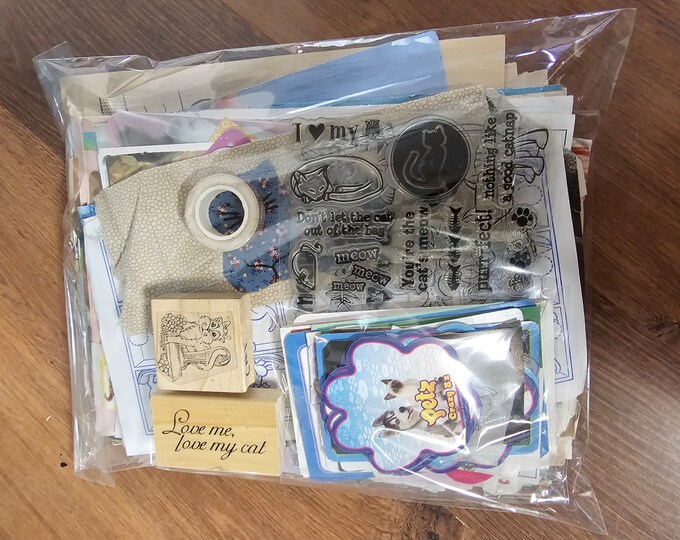 Cat Junk Journal Kit - Etsy