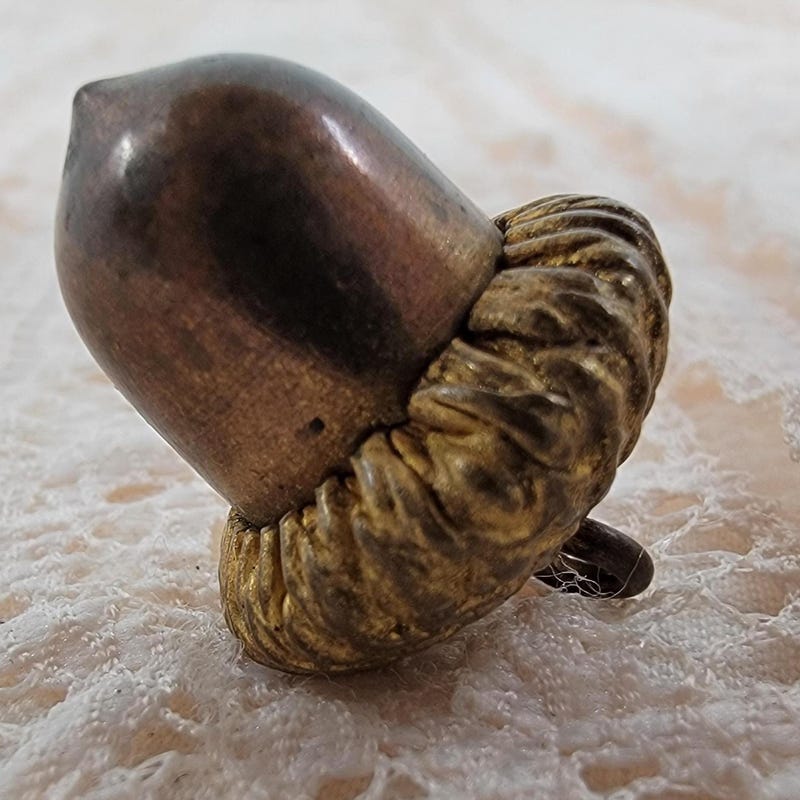 Acorn Button - Etsy