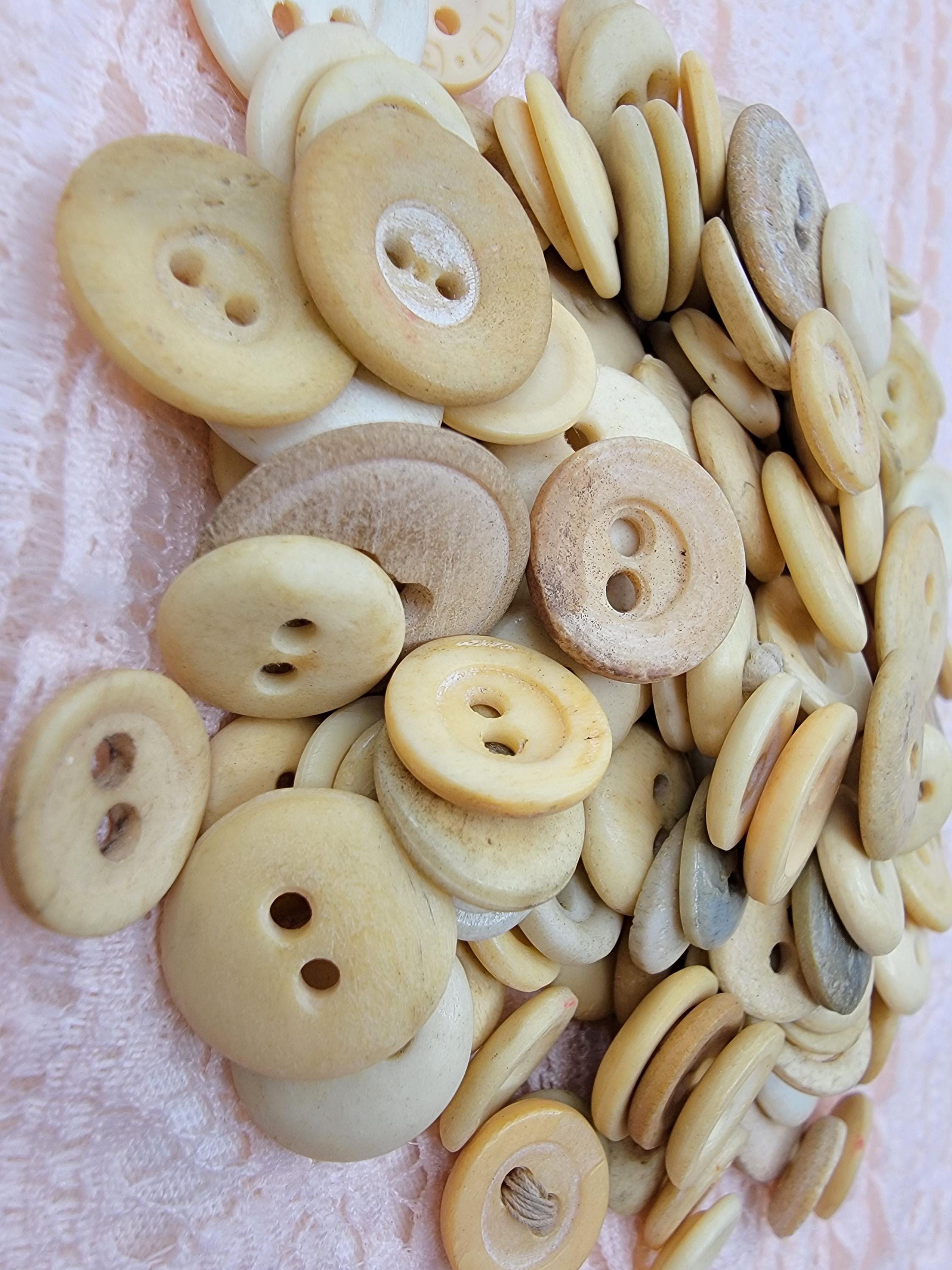 Vintage Antique Assorted Two Hole Bovine Bone Buttons - Lot of 50 - Etsy