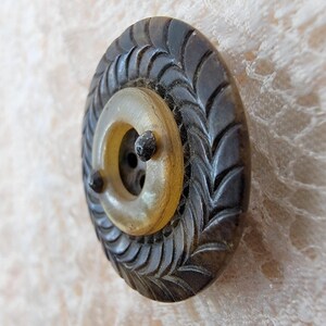 Vintage Brown Carved Composite Shell Steel Accent Sew Thru Button - Etsy