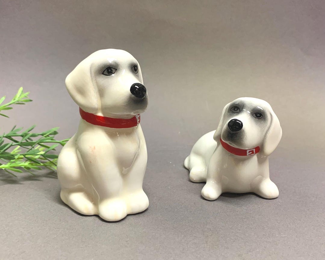 Pioneer Woman Lucy and Duke Stoneware Salt and Pepper - Etsy