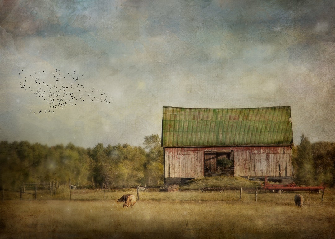 Rustic Barn Photography Print: Farm Animal Wall Art - Etsy