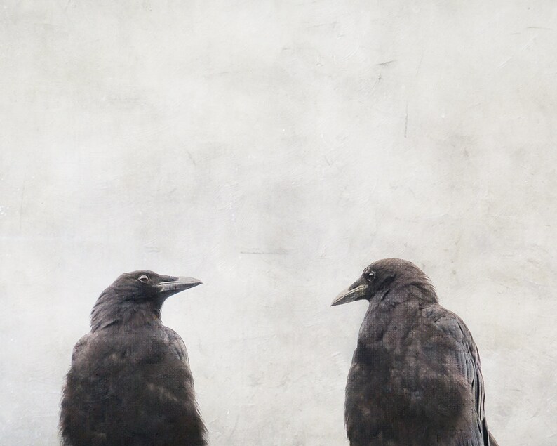 Two Crows Art Print: Whimsical Bird Portrait, Neutral Wall Decor - Etsy