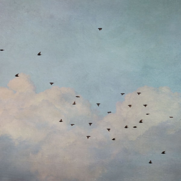 Flying Bird Print - Etsy