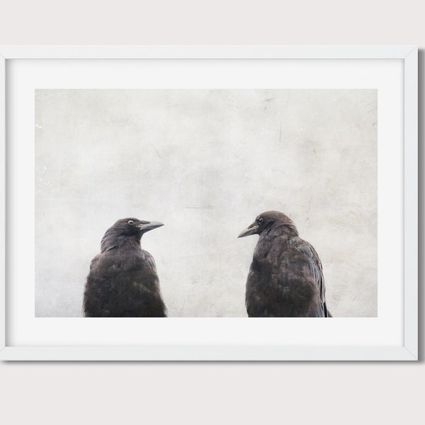 Crow Art Print - Etsy
