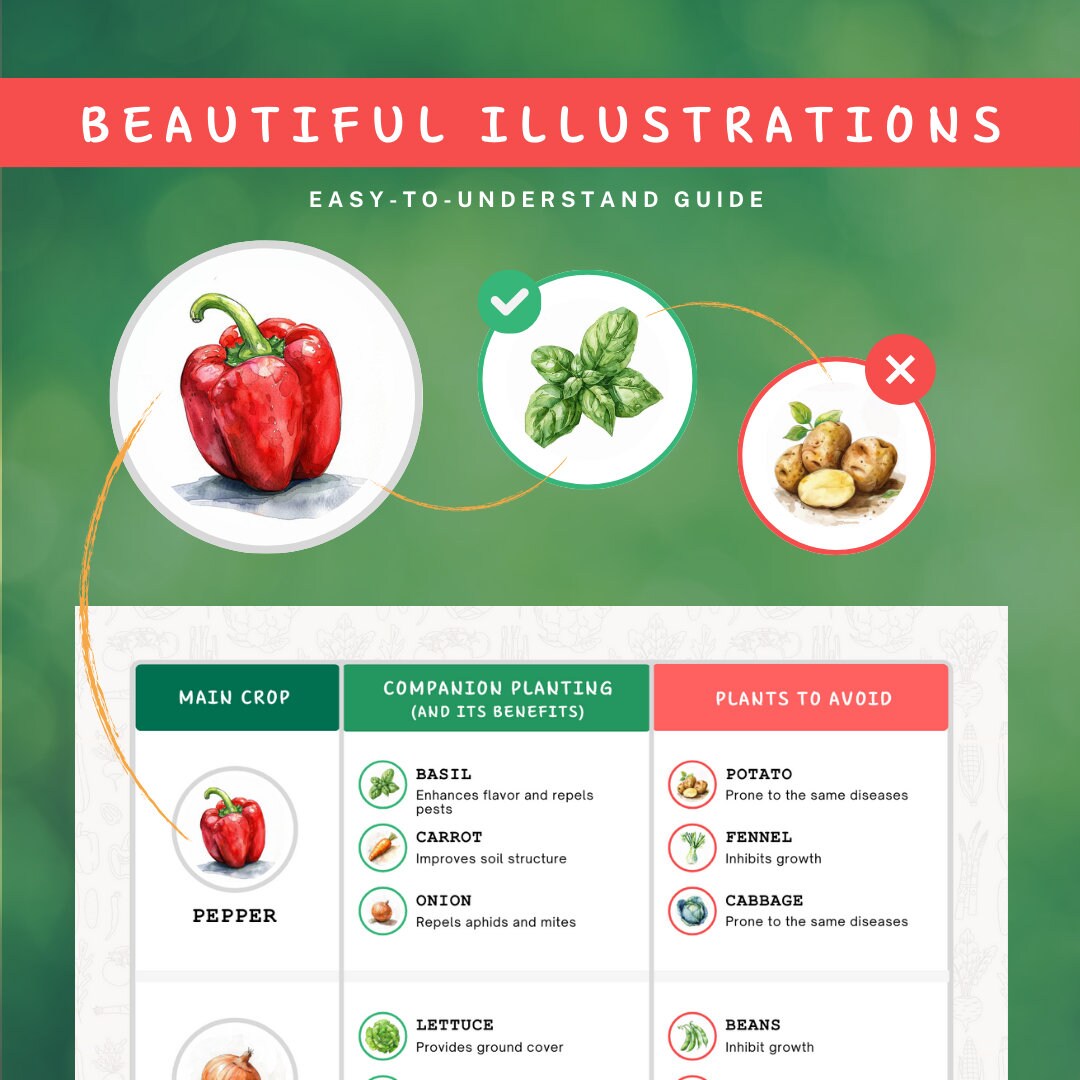Illustrated Companion Planting Guide: Optimize Your Garden With 26 ...