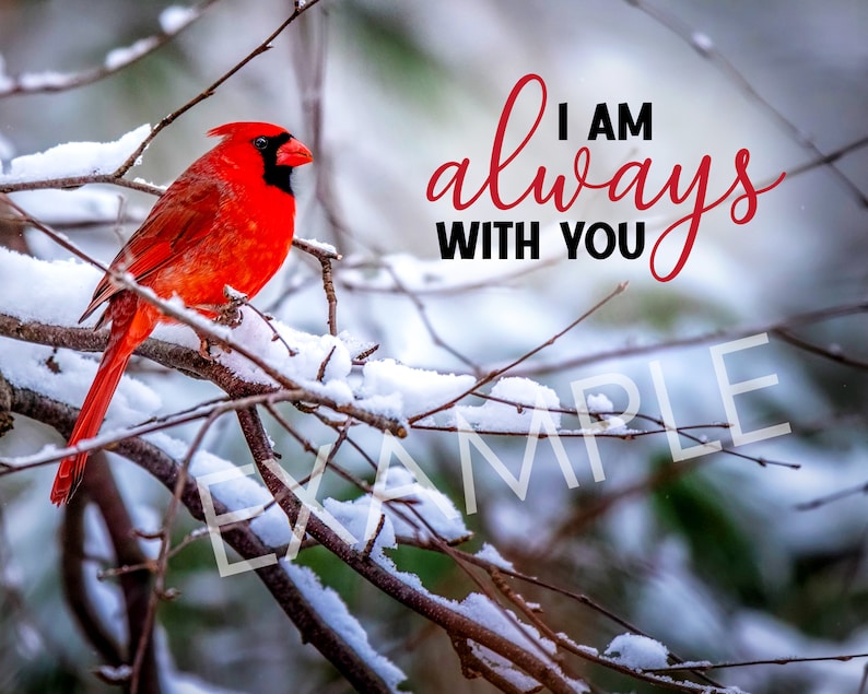 I Am Always With You Cardinal in Tree Cardinal on Branch - Etsy