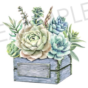 Succulent Printable Art, Watercolor Succulents, Set of 3, Plant Decor ...