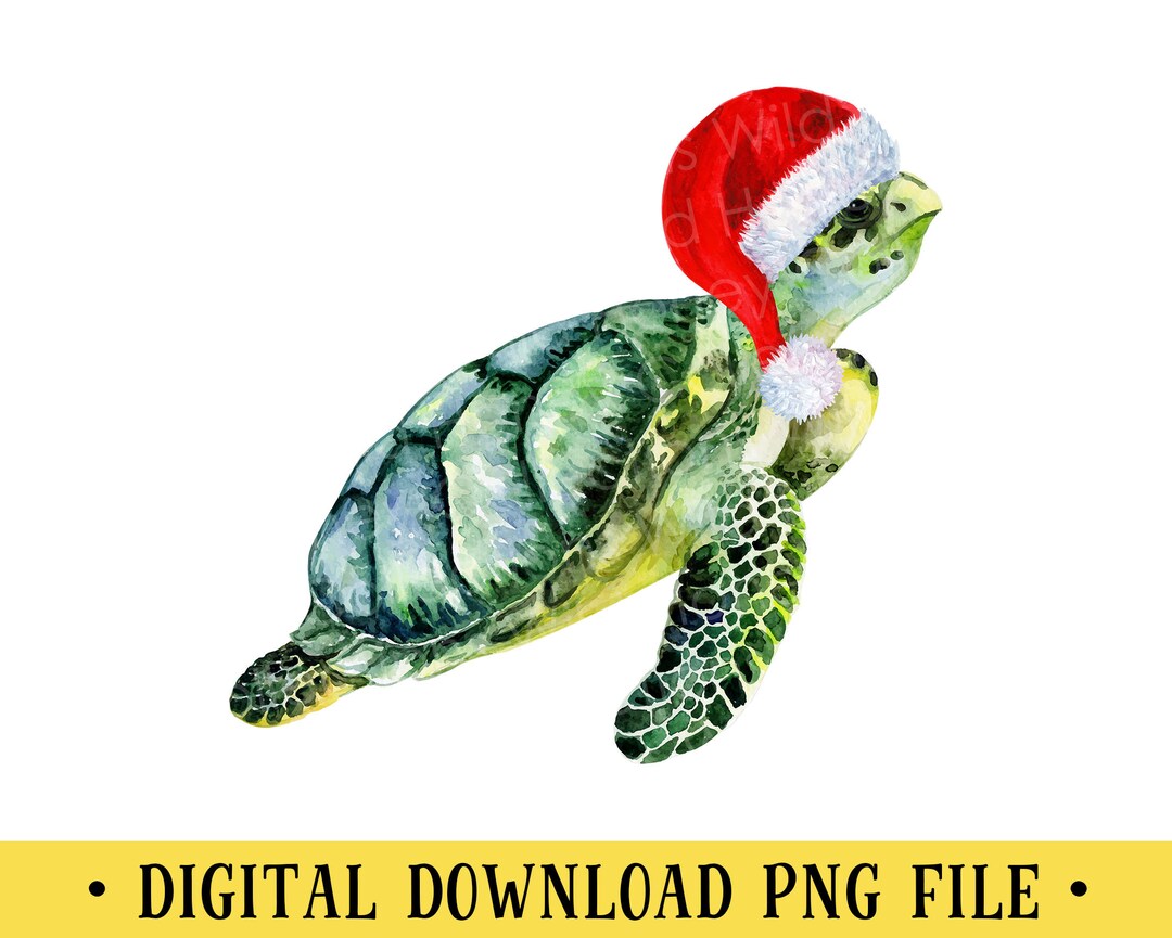 Christmas Sea Turtle PNG: Santa Hat Clipart (digital Download) - Etsy
