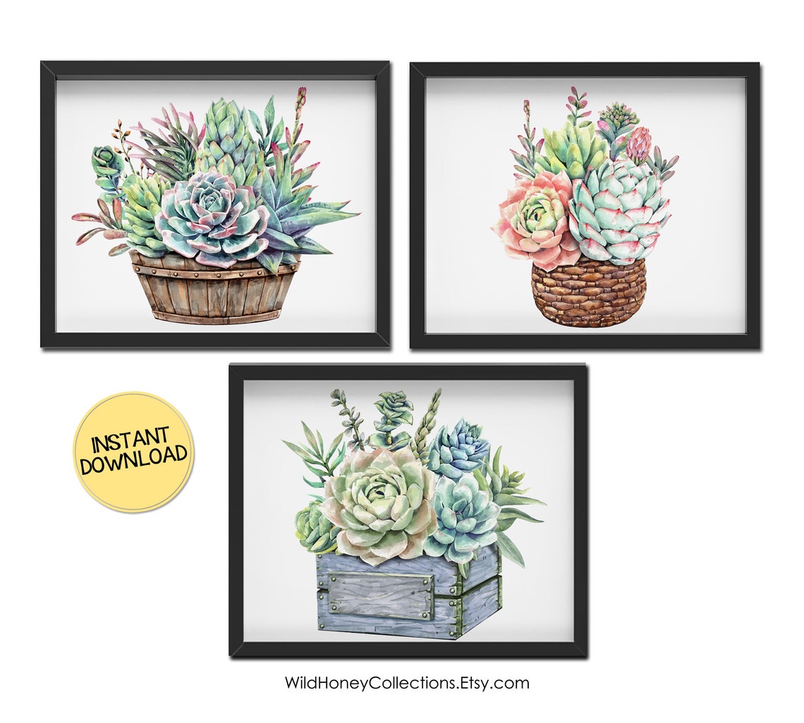 Succulent Printable Art Watercolor Succulents Set of 3 | Etsy