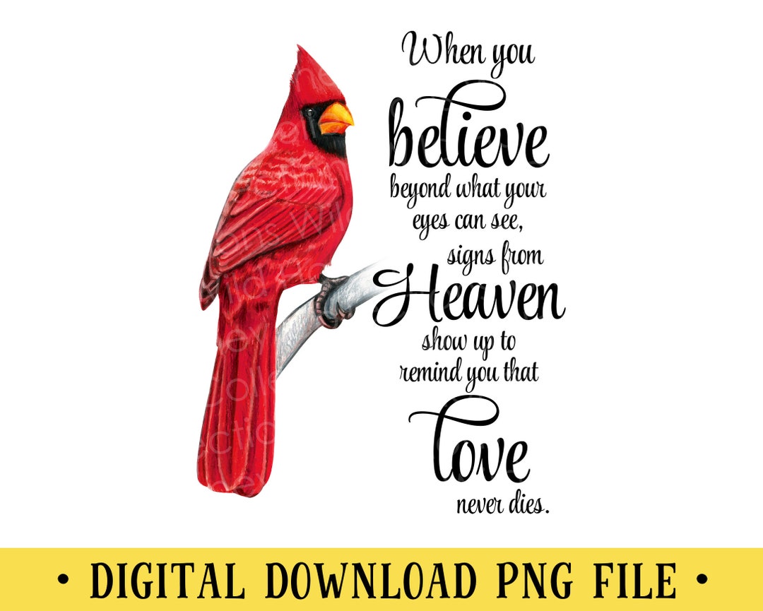 Sign From Heaven, Cardinal PNG File, Red Bird, Redbird, Transparent ...