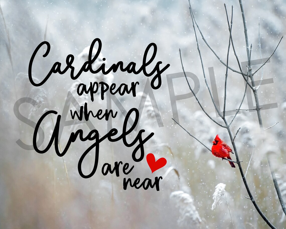 Cardinals Appear When Angels Are Near Printable Wall Art - Etsy