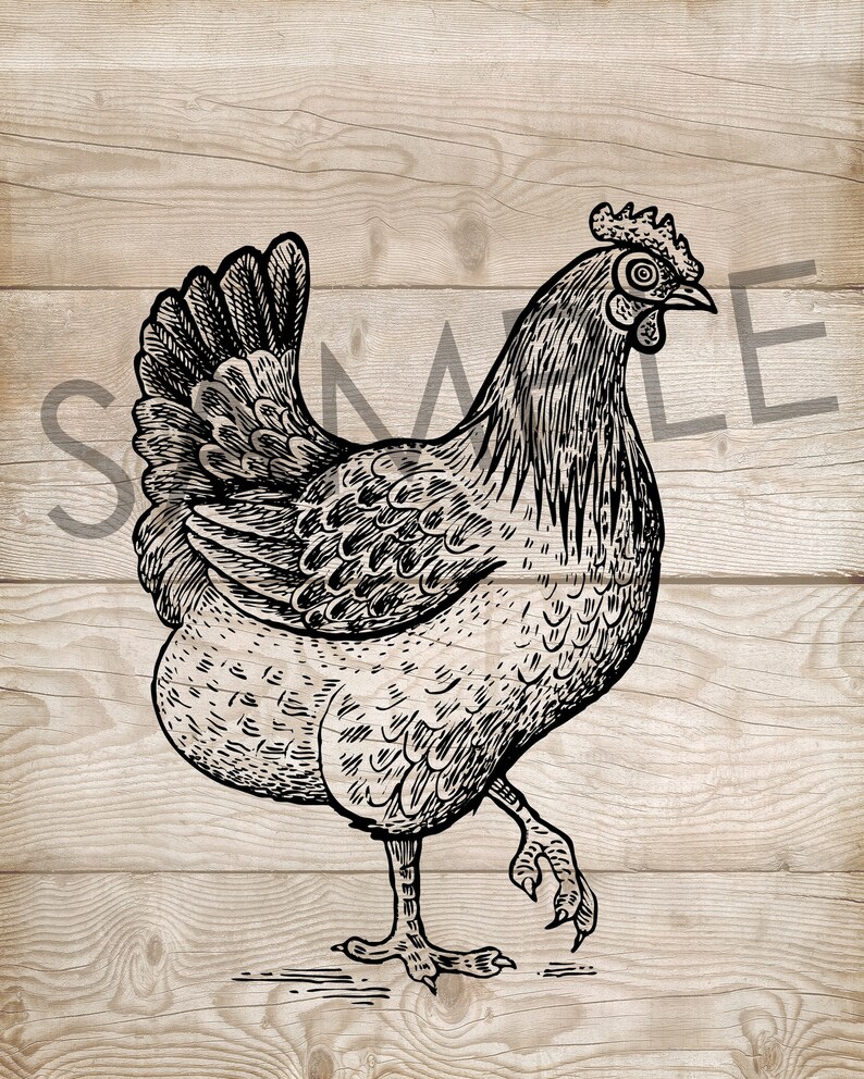 Farm Fresh Eggs Vintage Rooster Chicken Printable Kitchen - Etsy