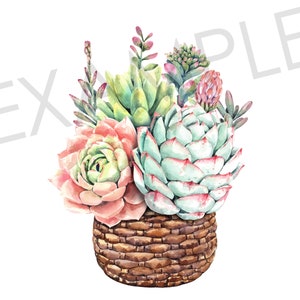Succulent Printable Art, Watercolor Succulents, Set of 3, Plant Decor ...