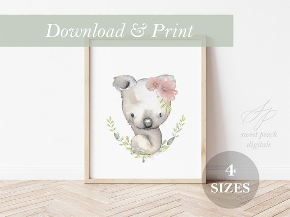 Koala Bear Screen Windows Phone