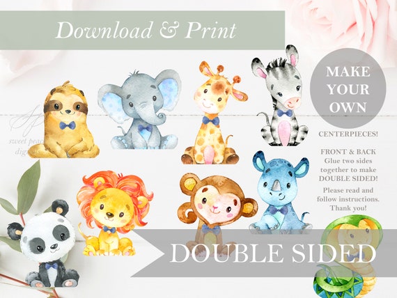 Zebra Baby Shower Printable Cutouts Paisley Owl Look Whooos Having A