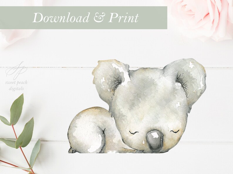 Koala Bear Topper Australian Digital Printable Birthday Cake Baby ...