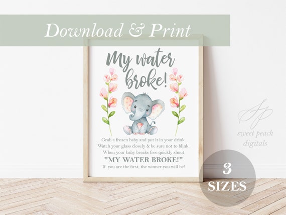 My Water Broke Game Baby Shower Sign Elephant Girl Nursery | Etsy