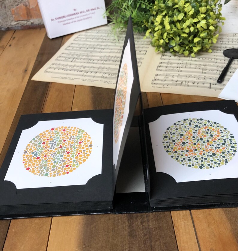 Ishihara Eye Test Chart Book for Color Deficiency 38 Plates W/manual ...
