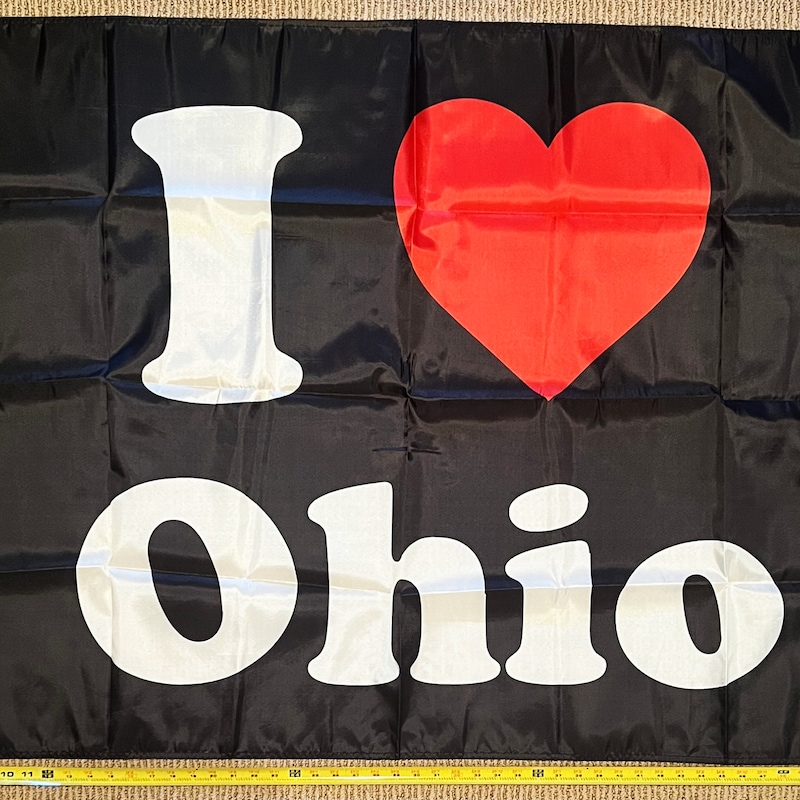 Ohio Against World Flag - Etsy
