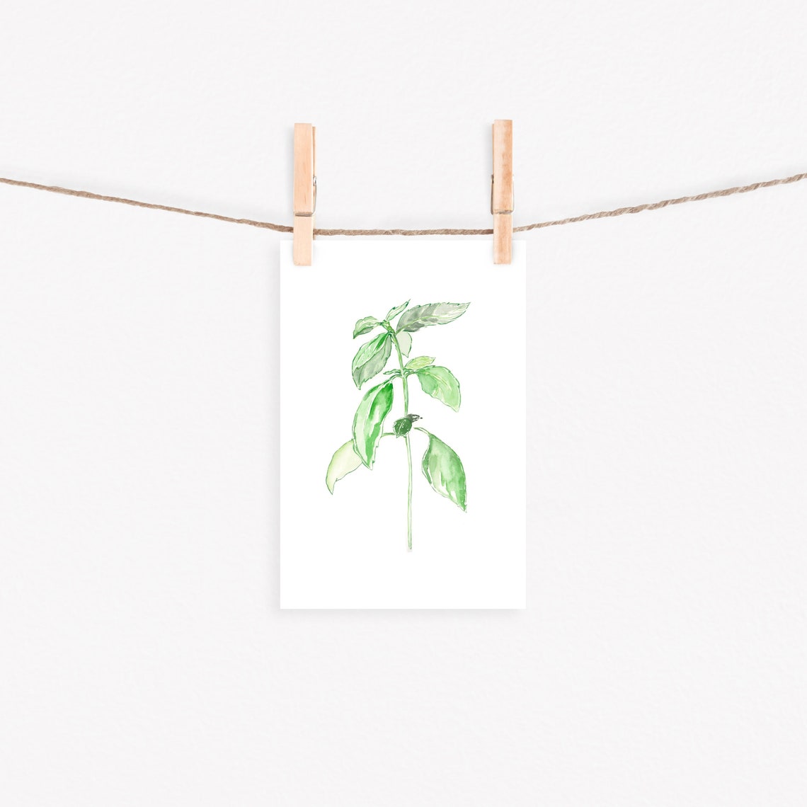 Basil Herb Wall Art, Basil Herb Art, Basil Watercolor, Herb Watercolor ...