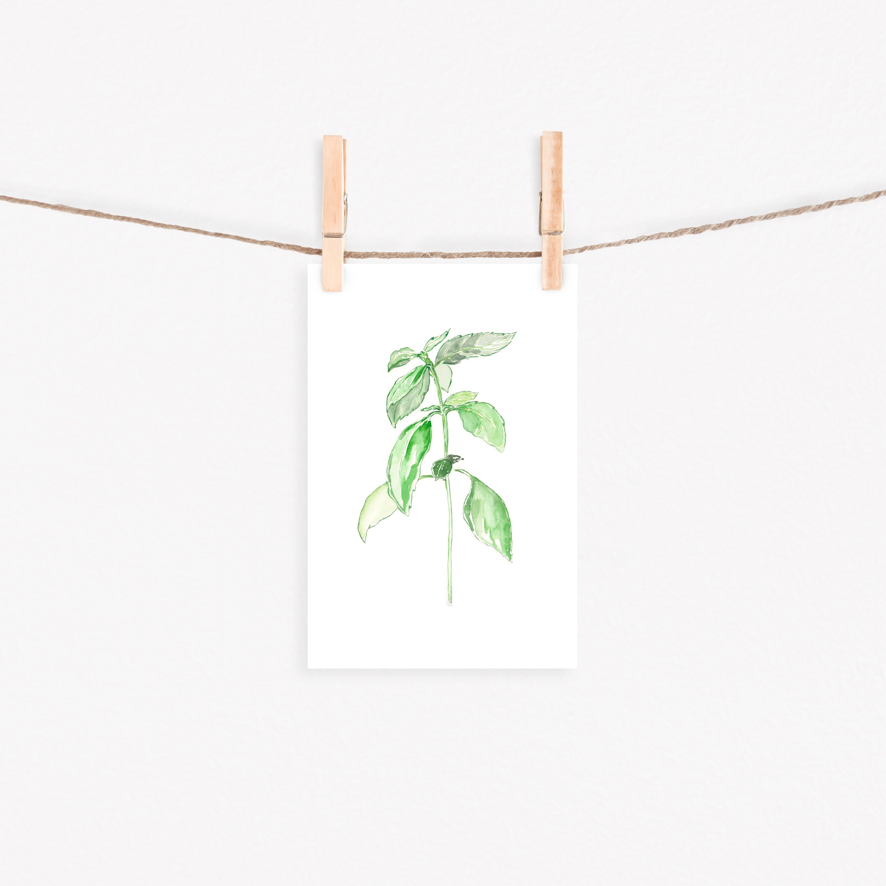 Basil Herb Wall Art, Basil Herb Art, Basil Watercolor, Herb Watercolor ...