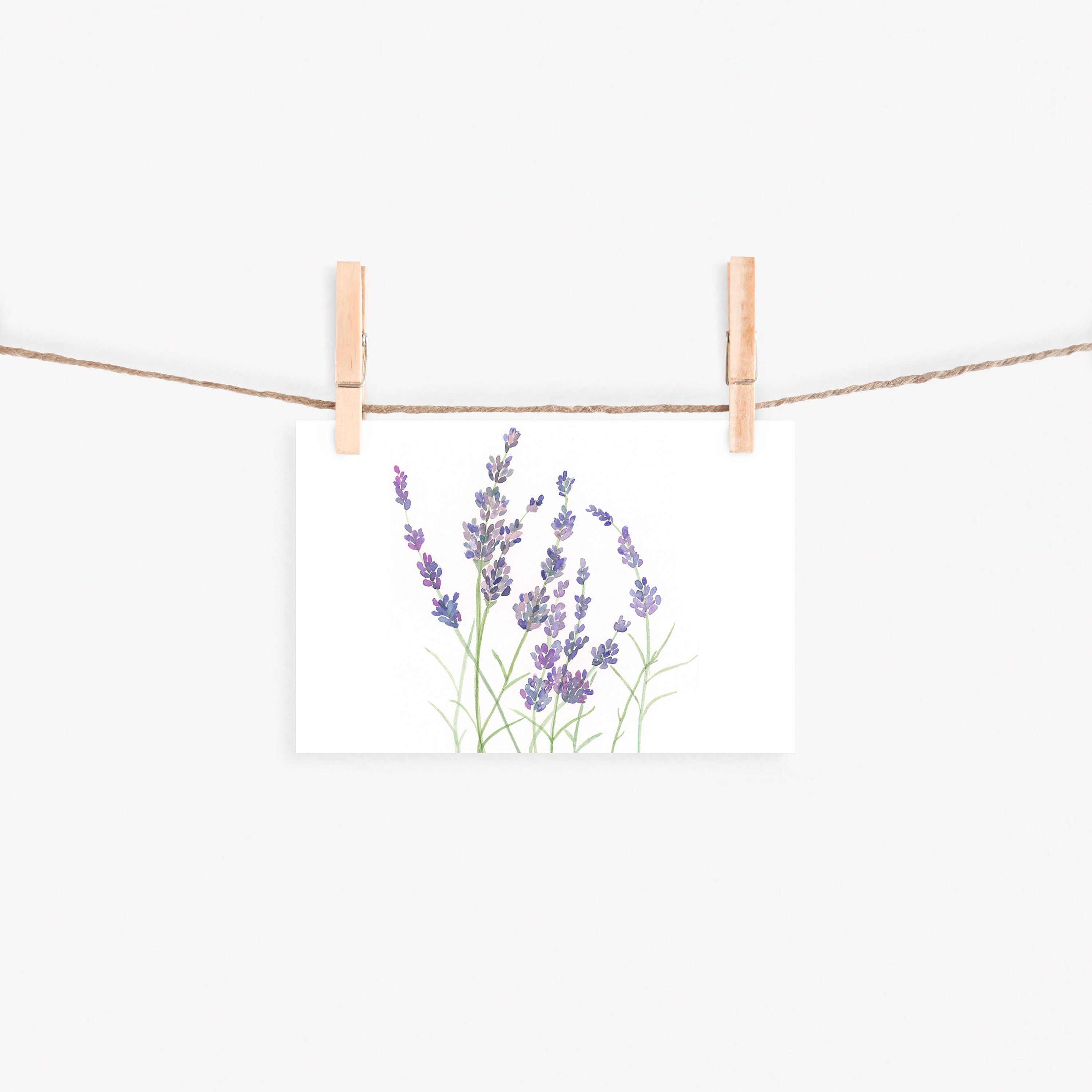 Lavender Flower Print, Lavender Art, Lavender Wall Decor, Lavender ...