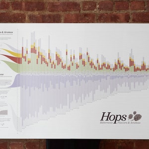 Hops Chart Data Visualization Art Print | Etsy